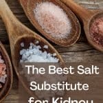 The Best Salt Substitute for Kidney Patients - The Kidney Dietitian