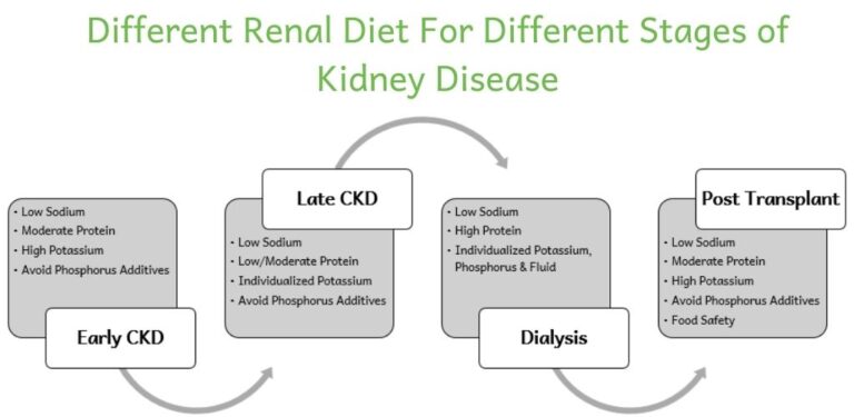 What is a Renal Diet? - The Kidney Dietitian