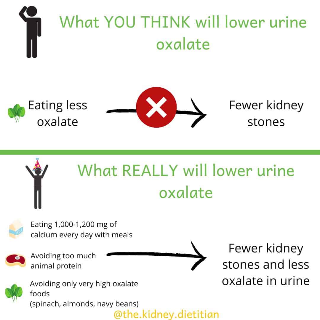 Low Oxalate Fruit: The Complete List - The Kidney Dietitian